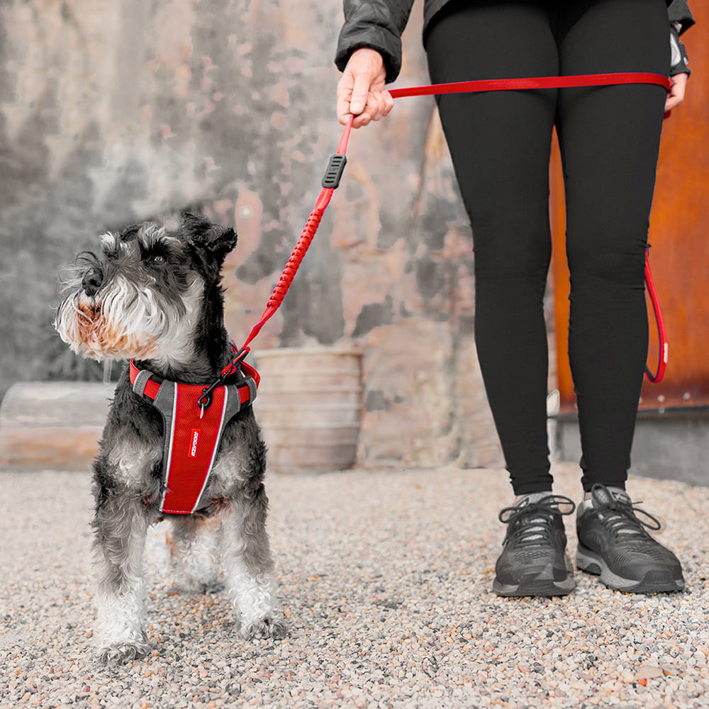 EZYDOG｜X減壓胸背帶-XL | 有.設計 uDesign